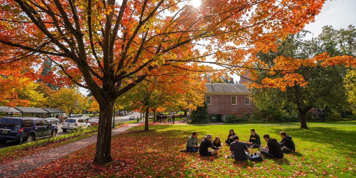 Well-Being Center | McCormick Lab